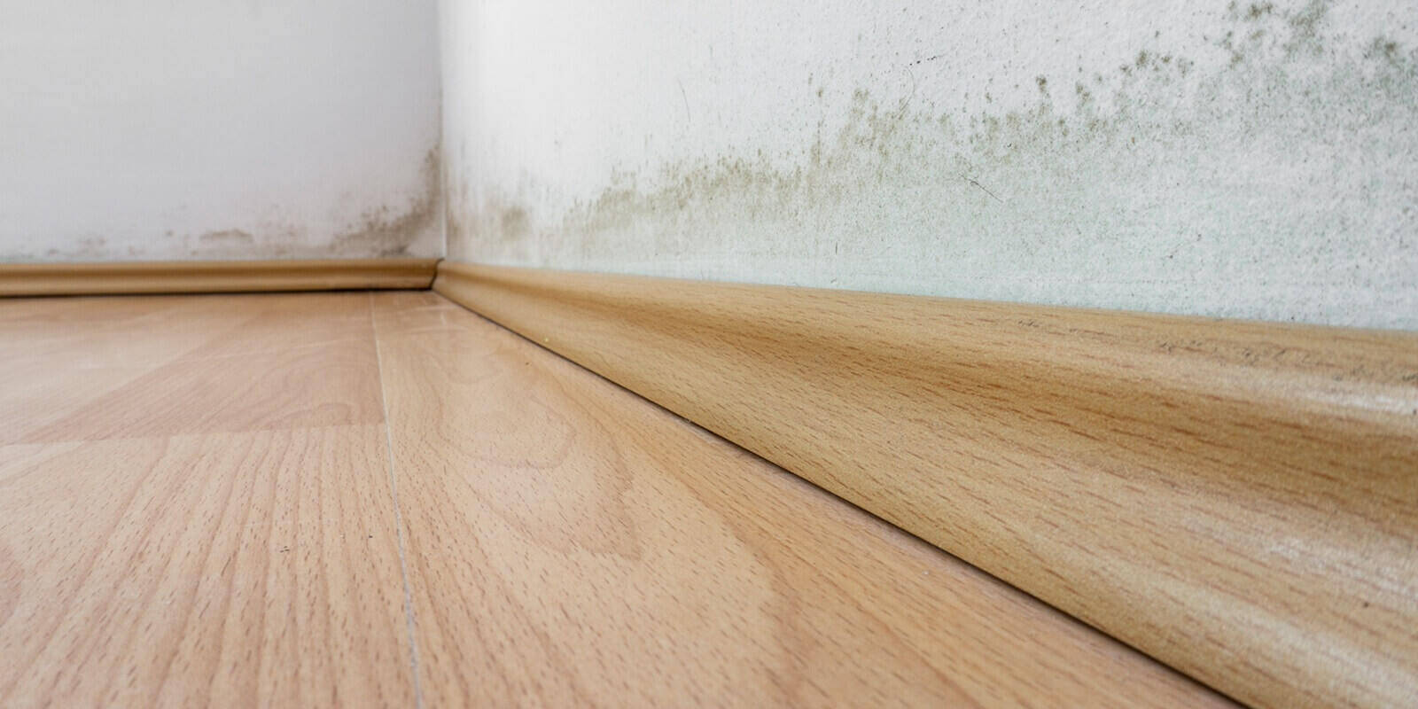 Transforming Humid Interiors with Custom Moisture Resistant Wall Panels ...